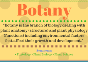 What is Botany? (Botany Definition and Its understanding)