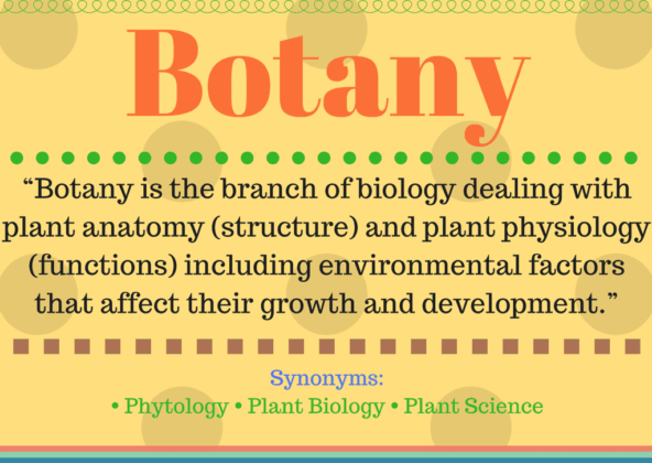 Forest Habitat - Botany Today